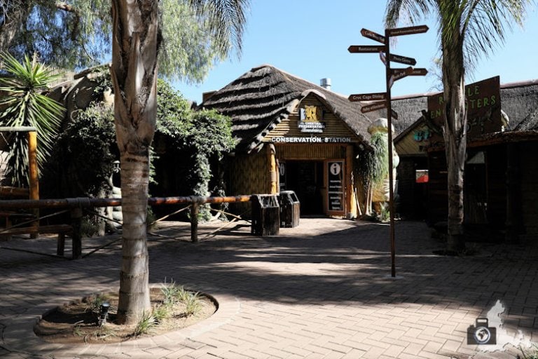 Cango Wildlife Ranch & Knysna | Erkunde die Welt